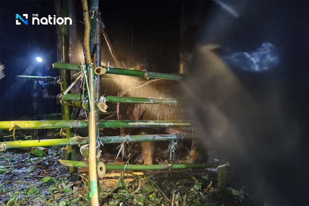 The Phnom Penh Post | Lost baby elephant in Thai sanctuary rescued ...