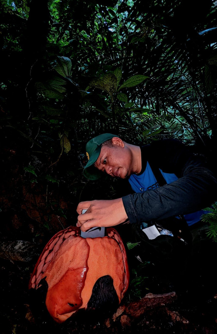 The Phnom Penh Post | Rare rafflesia rediscovery in Indonesia’s West ...