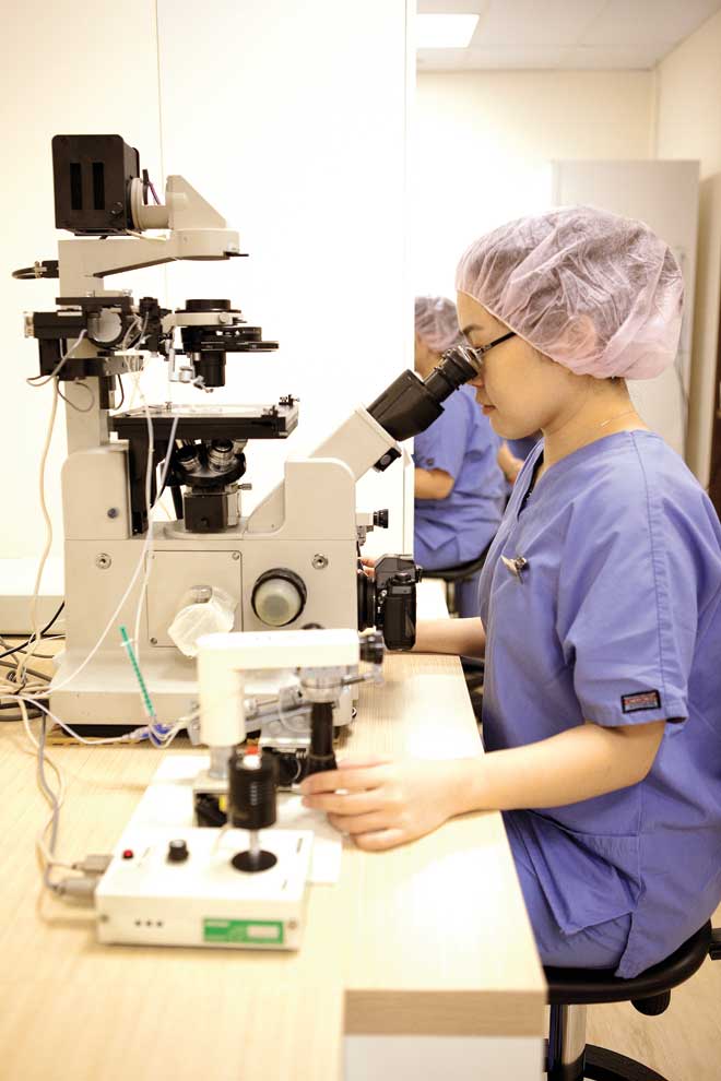 Successful fertility treatment gives families a fresh start | Phnom ...