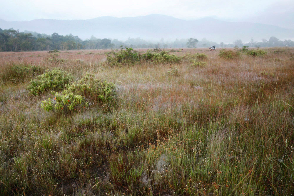 Areng Valley mining may unseat dam | Phnom Penh Post