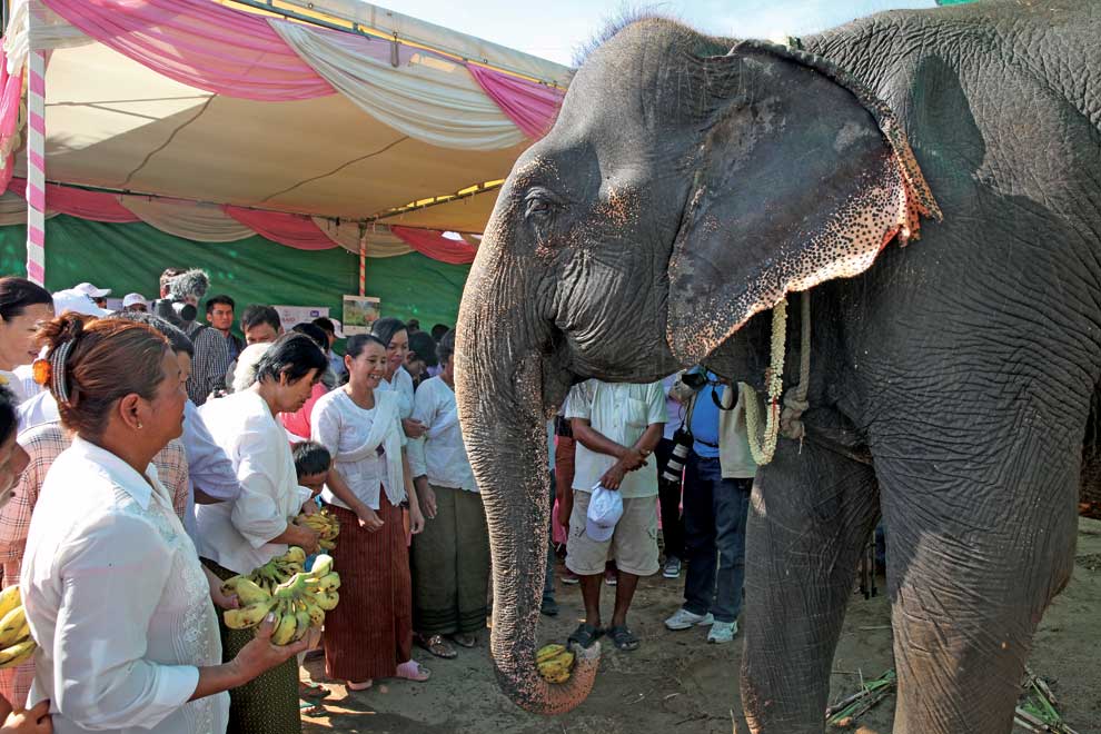 City bids adieu to Sambo | Phnom Penh Post