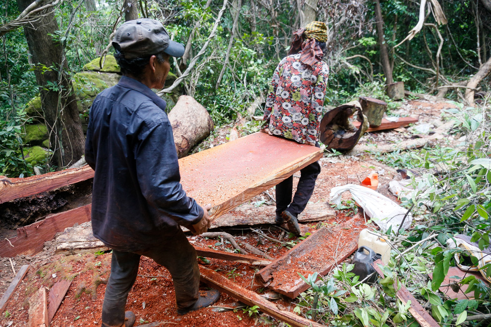 New timber ban questioned | Phnom Penh Post